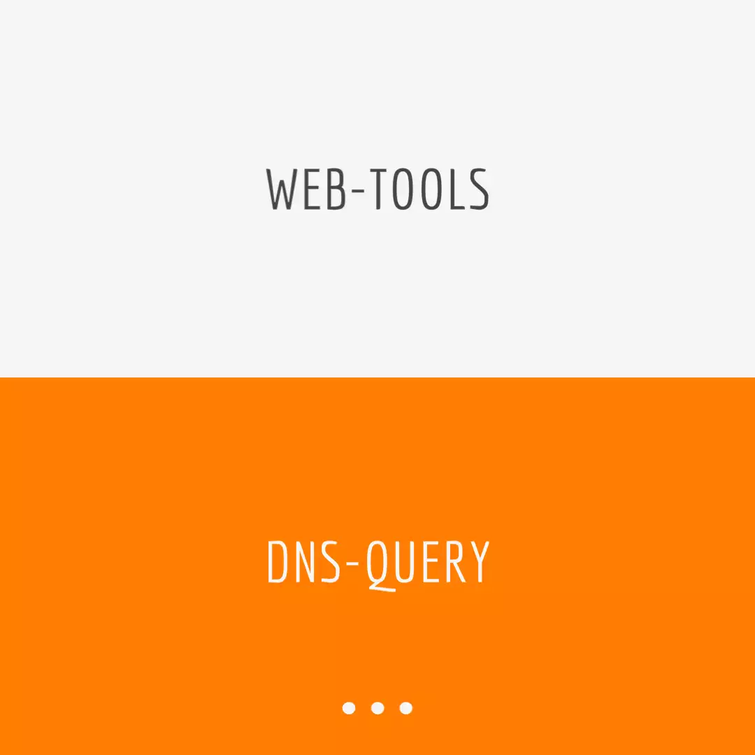 DNS Abfrage DNS Abfrage